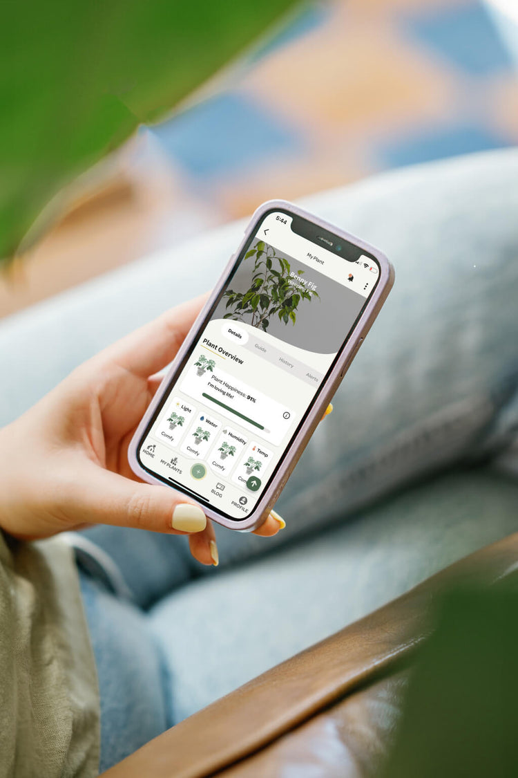 Smart Plant Sensor | Interactive Plant Monitor | Plant With Willow – PW ...