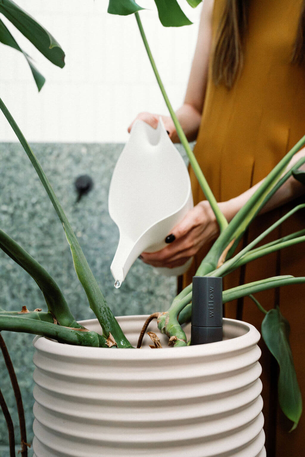 Smart Plant Sensor | Interactive Plant Monitor | Plant With Willow – PW ...
