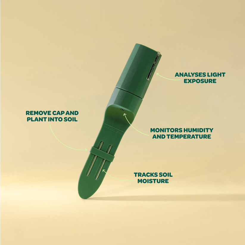 Smart Plant Sensor | Interactive Plant Monitor | Plant With Willow – PW ...