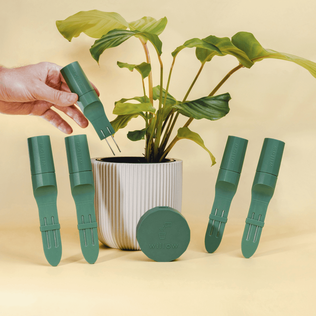 Smart Plant Sensor | Interactive Plant Monitor | Plant With Willow – PW ...