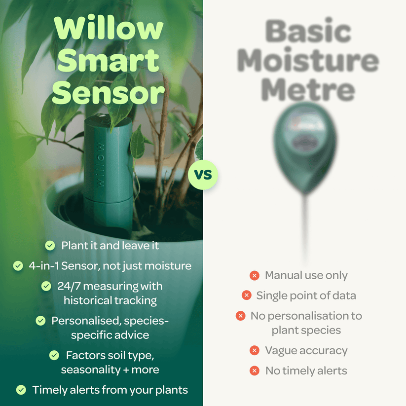 Smart Plant Sensor | Interactive Plant Monitor | Plant With Willow – PW ...