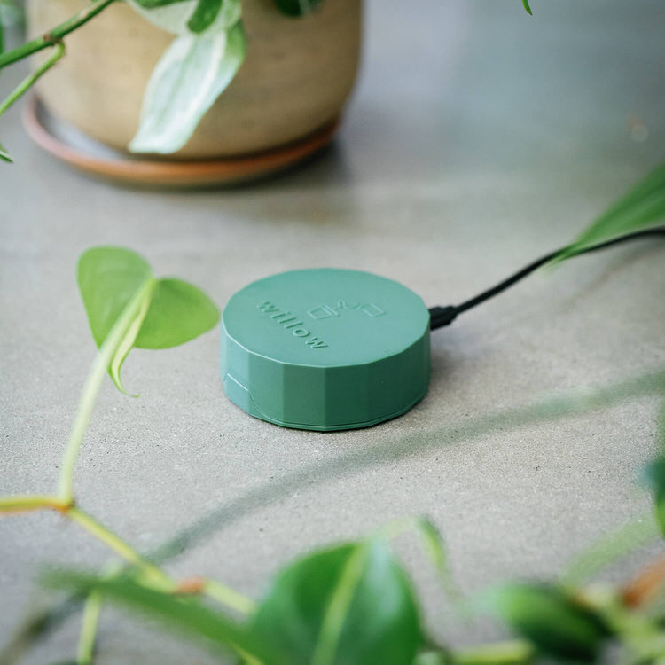 Smart Plant Sensor | Interactive Plant Monitor | Plant With Willow – PW ...